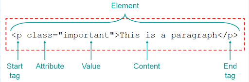 MSU Coding Bootcamp Survival Guide